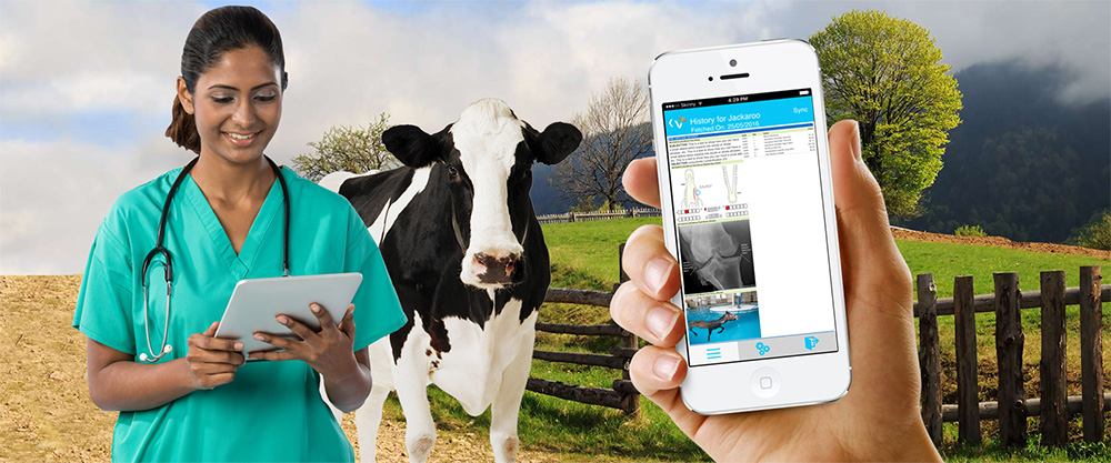 VetlinkPRO > APPS > Mobile Billing